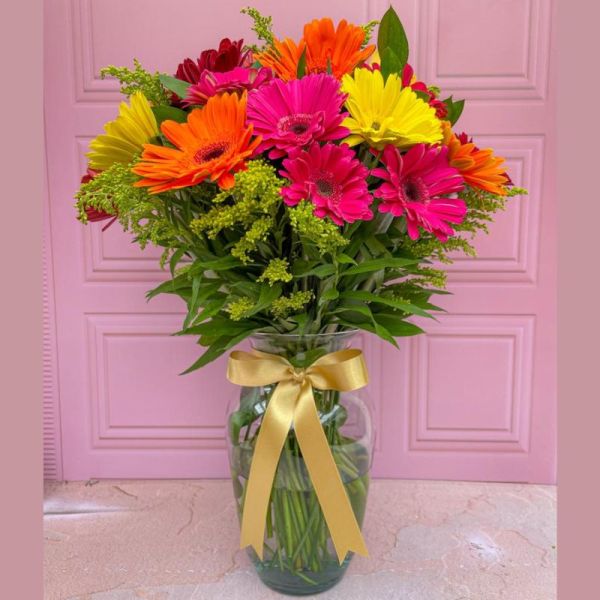 colourful gerberas